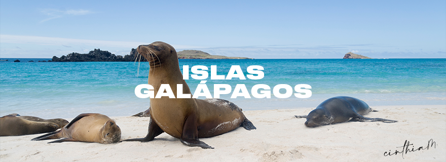 Islas Galápagos, Ecuador. Antes de empezar si eres turista debes… | by ...