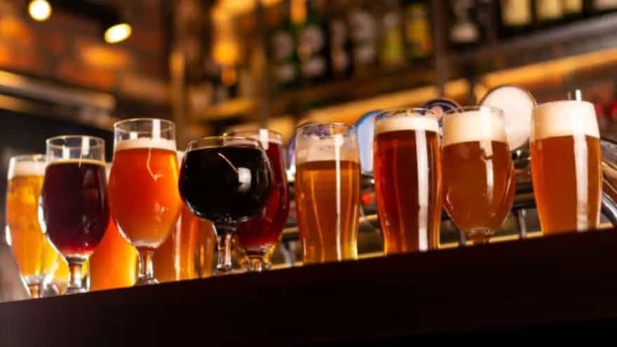 Europe Craft Beer Market Share, Size, Growth , Industry Dynamics and ...