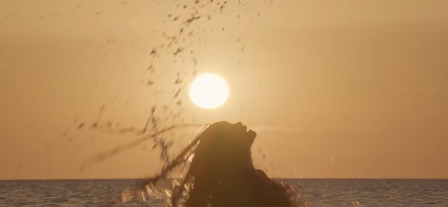 Review of “The Little Mermaid” — A Deep Dive into Disney’s Timeless ...