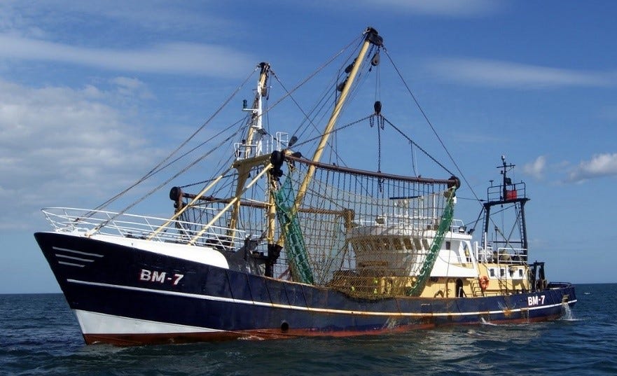 The Impacts of Deep-Sea Trawling. The United Nations in 2015 through ...