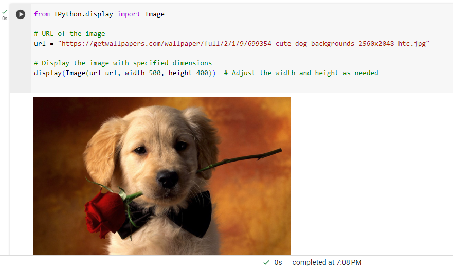 Simplify Your Apps Vision Integrating Vision Ai With 🤗 Transformers In 3 Lines Of Python By