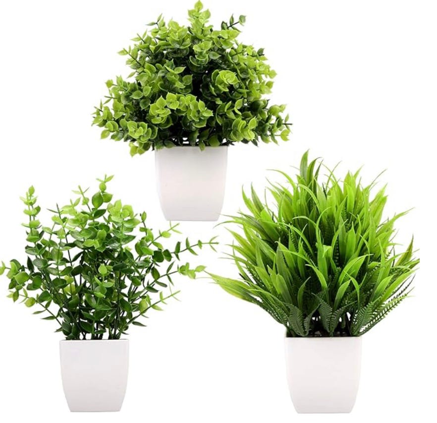 8 Plant Decorations for your Home🌿 | by Homezide | Nov, 2023 | Medium