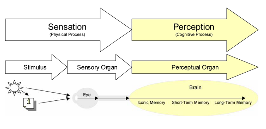 Visual Perception là gì? Tìm hiểu về Nhận thức Thị giác và Ứng dụng của nó