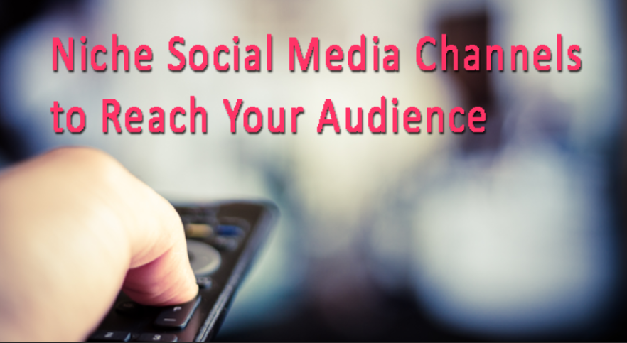 Niche Platforms — A Handy Tool Your Business Needs to Embrace | by ...