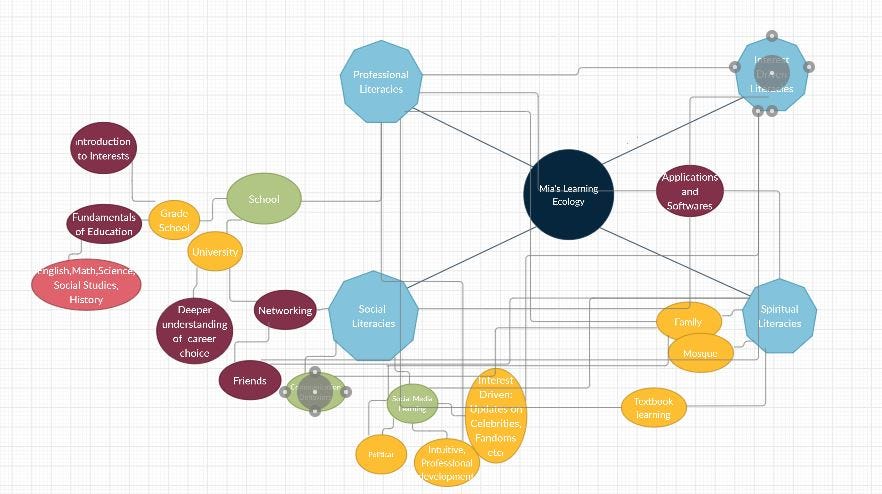 Mapping My Learning Ecology. Understanding terminology often… | by ...