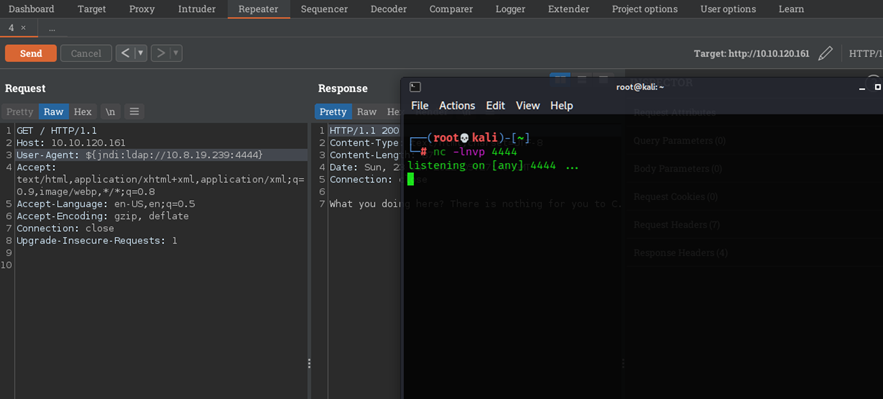 Try hackme -Lumberjack Turtle. Hello everyone this is my first ctf ...