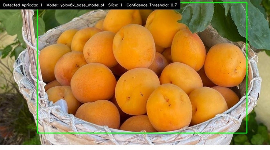 My Summer Counting Apricots with Machine Learning: Refining Yolo v8x ...