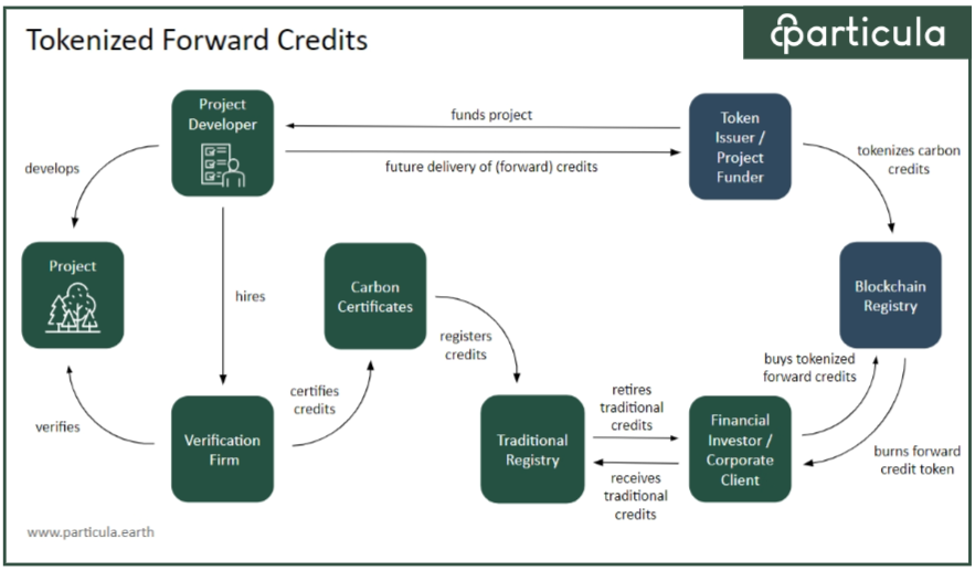 Tokenization of Carbon Credits: How tokenized Forward Credits will ...