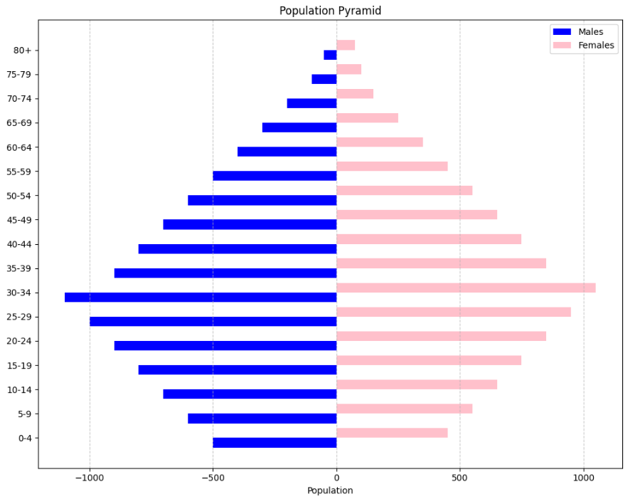 👥 Create Population Pyramid Chart Using Python | by Nazish Javeed | May, 2025 | Medium