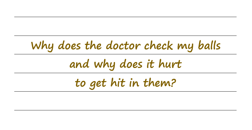 Why Does The Doctor Check My Balls And Why Does It Hurt To Get Hit In ...
