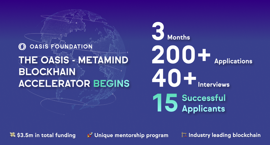 Conoce a los primeros equipos del Oasis-MetaMind Accelerator Program ...