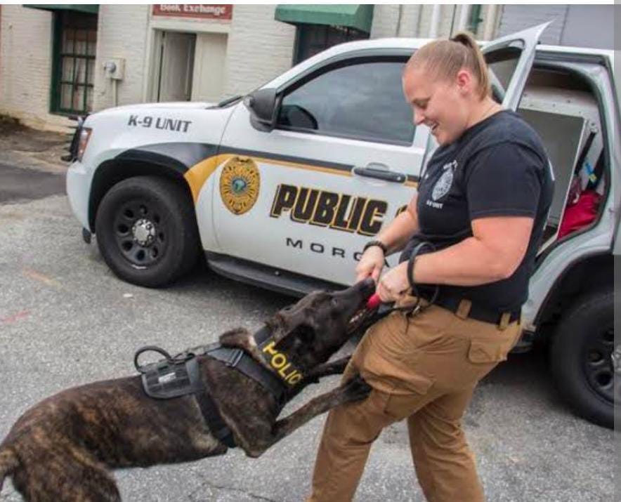 The Georgia Dogman. The Georgia Dogman | by Raima | Medium