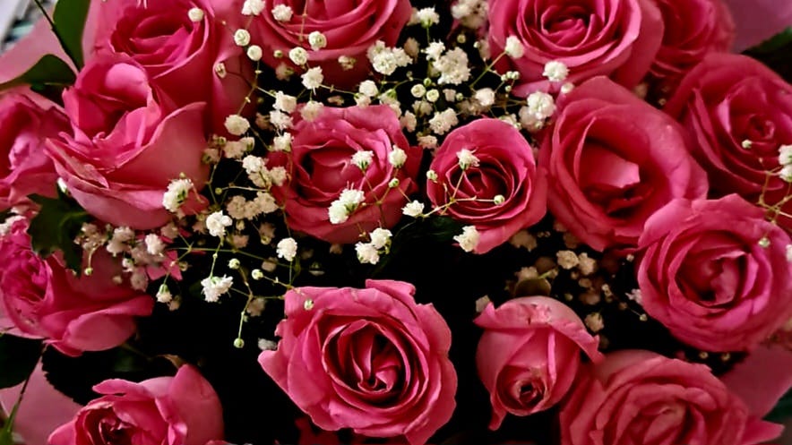 Who is a “Pink Person”? Do you have one in your life? | by Tan | Medium