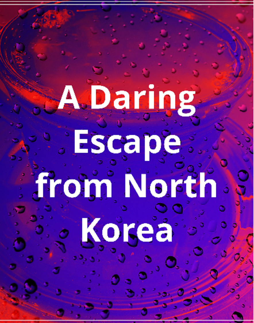 Daring Escape of North Korean Defector Captured on Video | by Evan ...