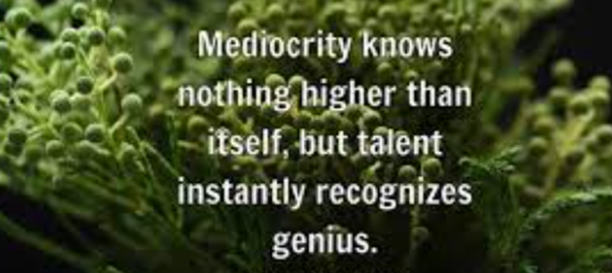 “Is Mediocrity Blind to Genius? Unveiling the Dance Between Talent and ...