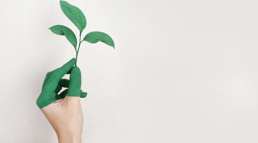 WHY WE SHOULD ALL GO GREEN. Environmental sustainability: it’s… | by ...