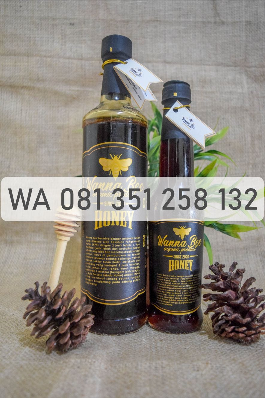 MURNI | WA 081 351 258 132 | WANNA BEE - WannaBee - Medium
