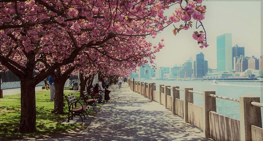 Spring in NYC (Gallery) | by Hello BigApple | Medium