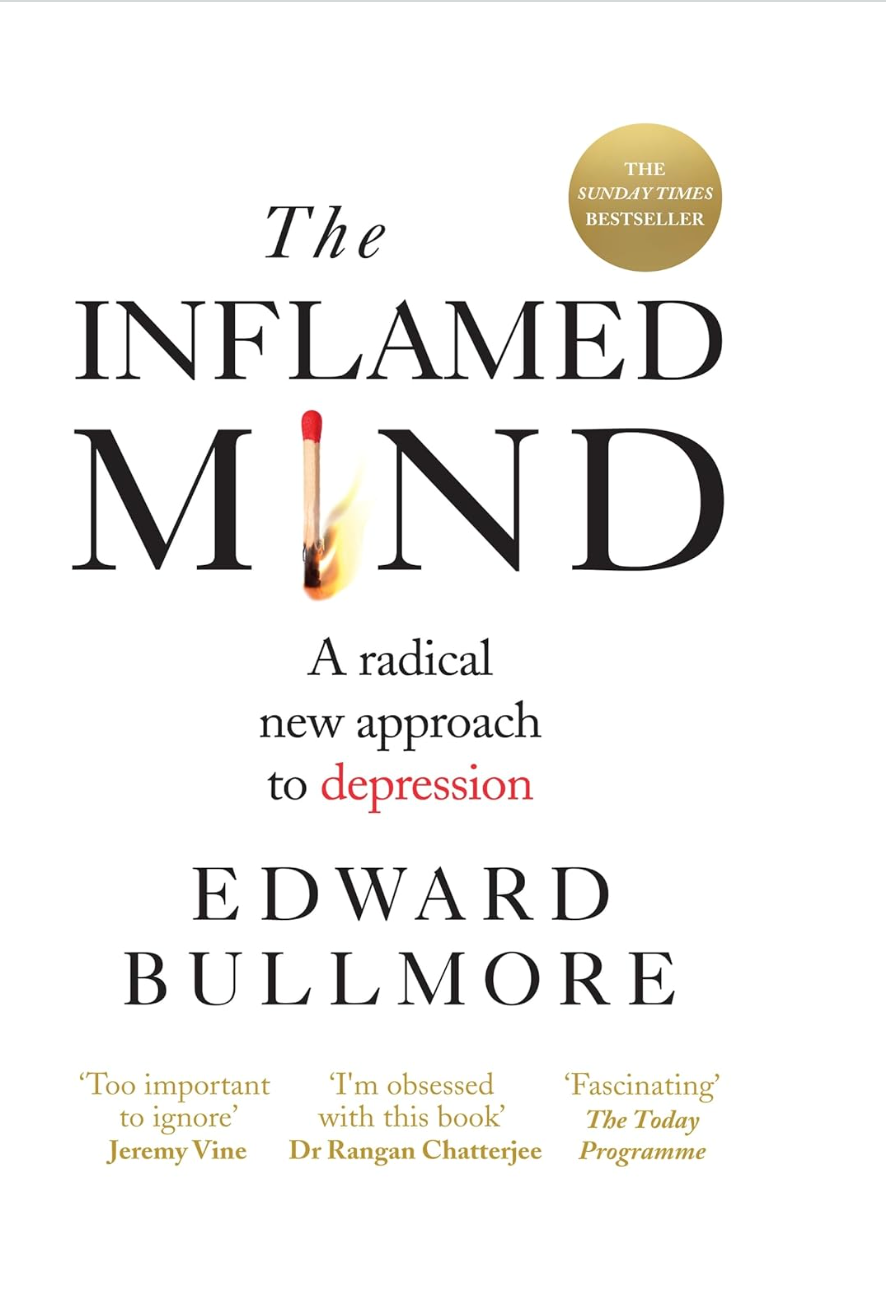 The Inflamed Mind: Book Review. When Your Body Attacks Your Mind | by ...