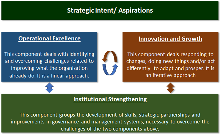 Ambidextrous Strategic Management | by Alberto S Brito | Medium