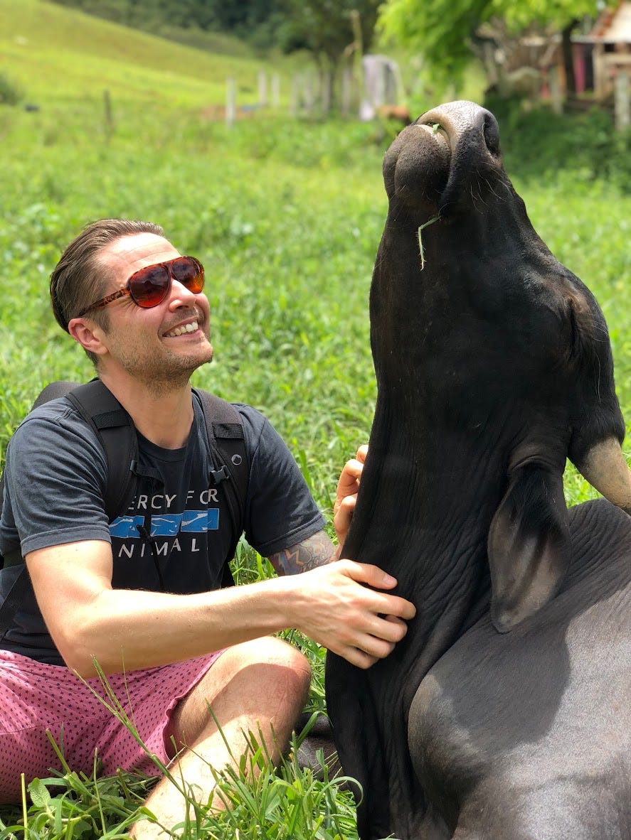 Mercy for Animals Fundraising Hustle | by Shea Waldron | Hustle Blog ...