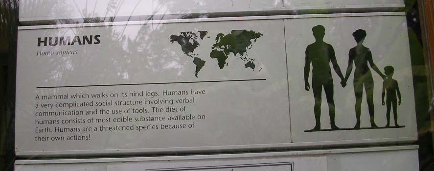 10 things you didn’t know about the human race | by Rob Mansfield | Medium