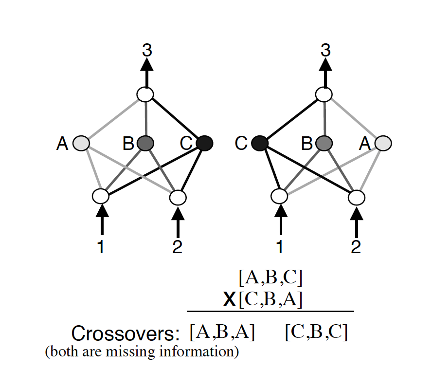 Evolving Artificial Neural Networks Using Genetic Algorithms By Ilias Mansouri Medium