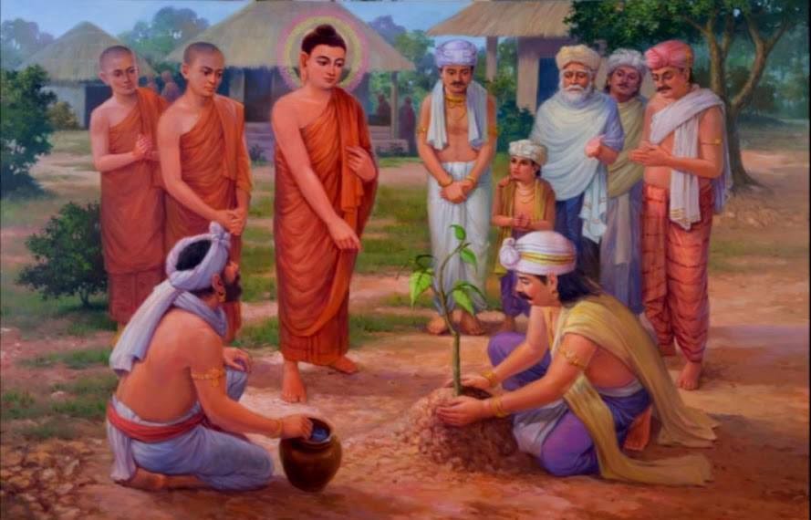 94. BUDDHA SPEAKS ABOUT SEEDS. 108 Buddhist Parables | by Olga G | 108 ...