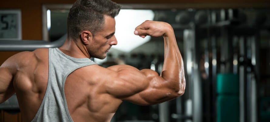 Tips For Getting The Most From Your Muscle Building Efforts | by ...