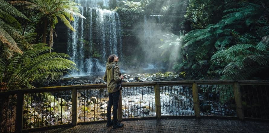 A Nature Lover’s Guide To Tasmania: National Parks Near Hobart | by ...