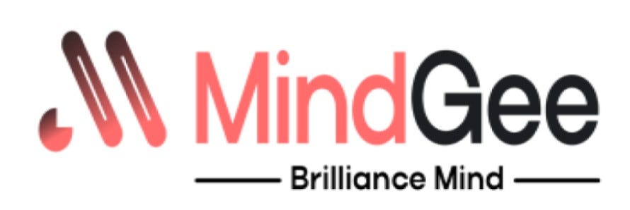 MindGee Technologies — Best Digital Marketing Company In Bangalore | by ...