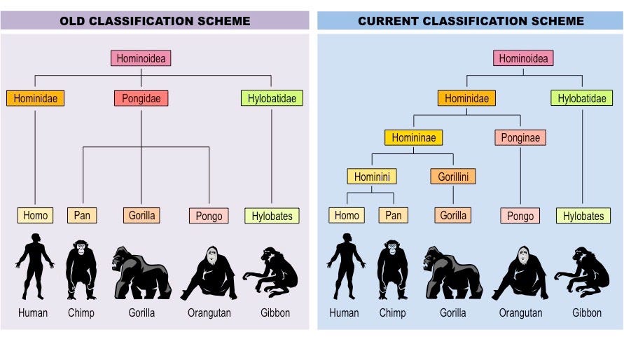 Warm up in Classification Modeling | by Jocelyn Guo | DataDrivenInvestor