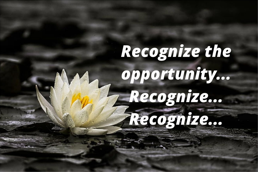 Know the Opportunity! 10 easy ways to help you. | by Sana Naz | Medium