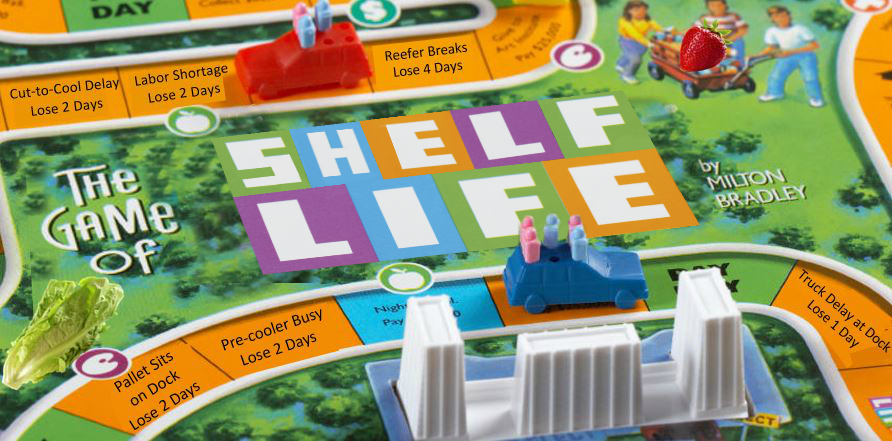 The Game of [Shelf] Life. Truck Delay at Dock — Lose 1 Day of… | by ...