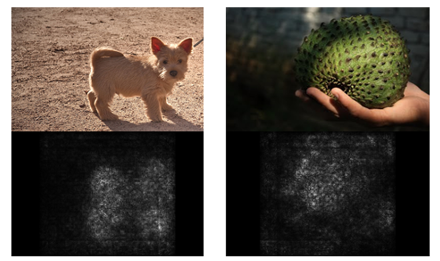 Explainable AI: Gradient Based Methods | by Prasad Pathak | Medium