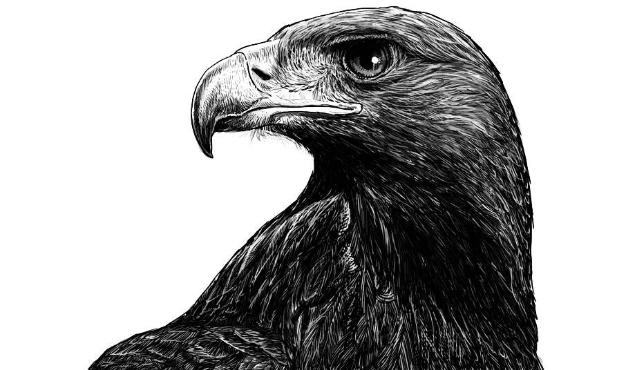 BigQuery UNNEST example | Towards Data Science