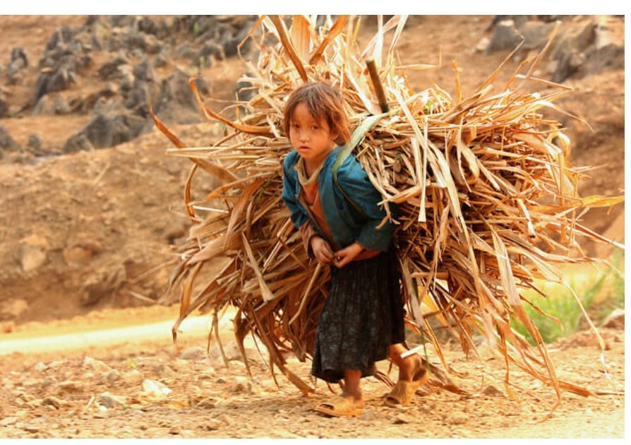 Child labour issues and challenges: | by Usamamalik | Medium
