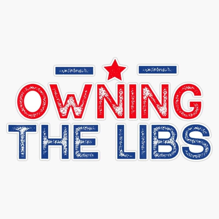 Owned the Libs, but at what cost? | by Veltric | Jul, 2025 | Medium