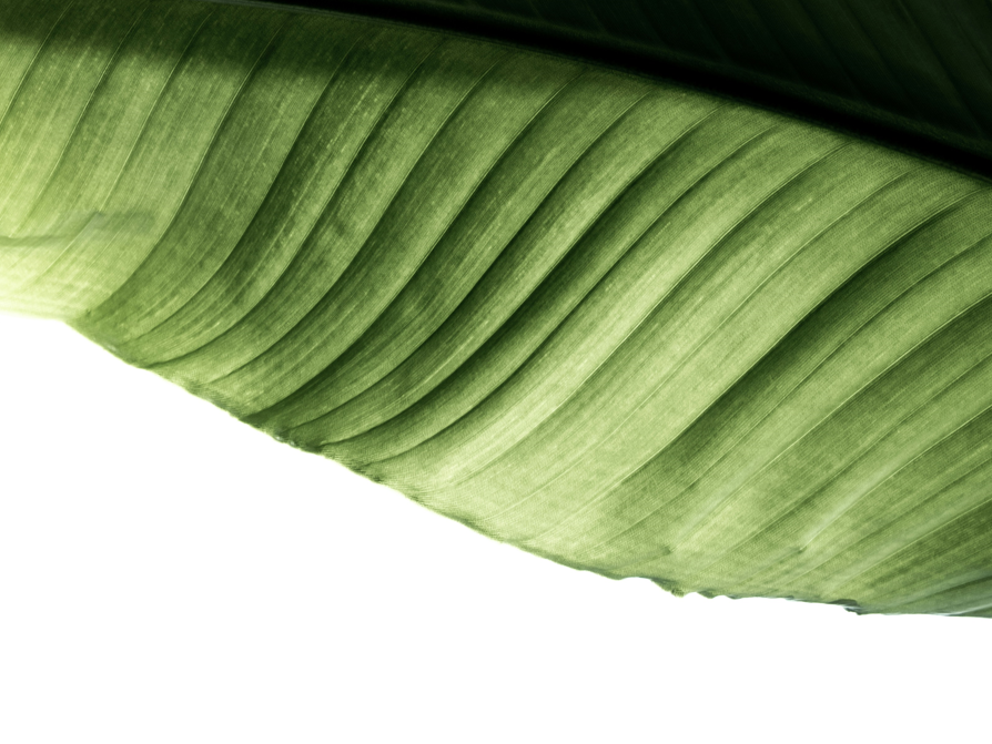 Power of Patterns: Natural Law of Causes & Effects. | Medium