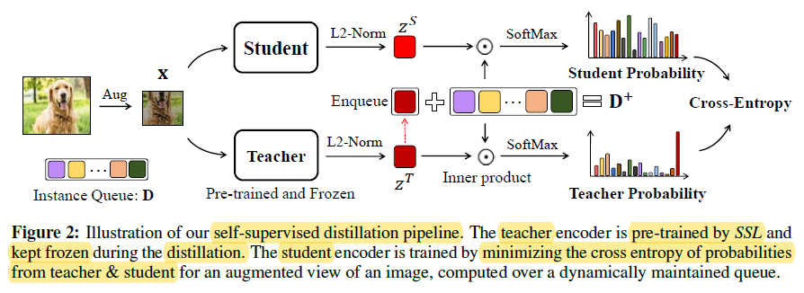 Review — SEED: Self-supervised Distillation For Visual Representation | by Sik-Ho Tsang | Medium