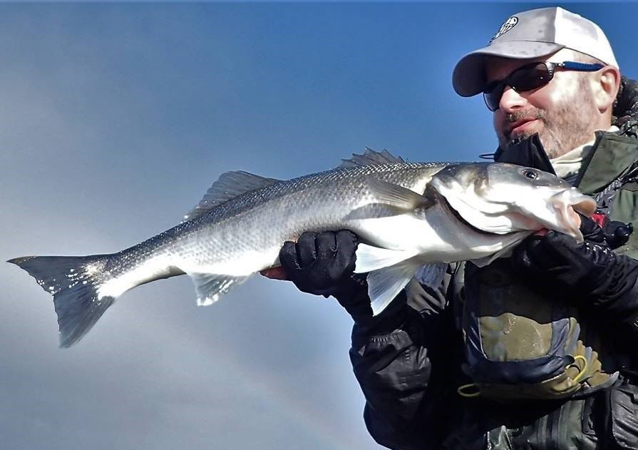 Irish Bass and the Call of the Ocean | by Editor Ireland on the Fly ...