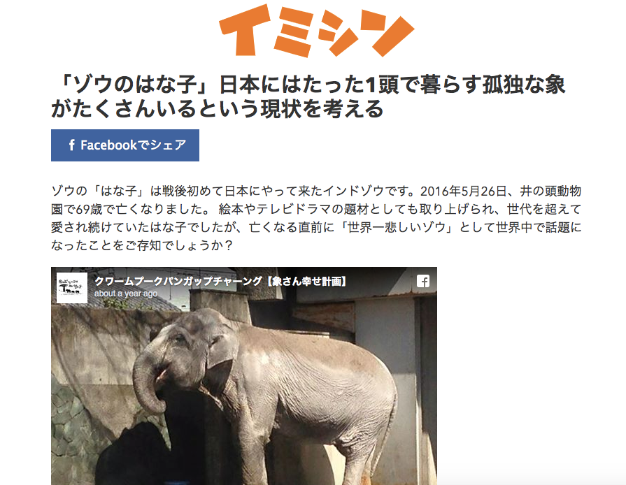 “Hanako the elephant: Considering the other lonely elephants living ...