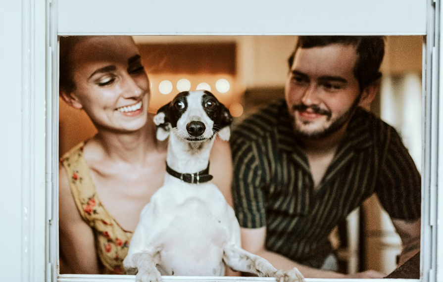 Picking the Perfect Dog for Your Lifestyle | by Kandace Heller | Sep, 2024 | Medium