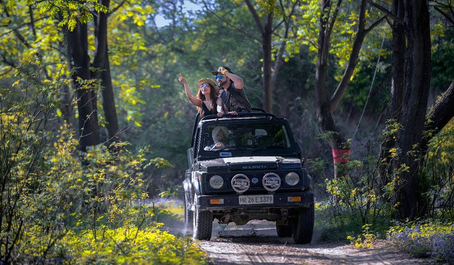 Adventure activities in Punjab- The Kikar Lodge Experience the thrill ...