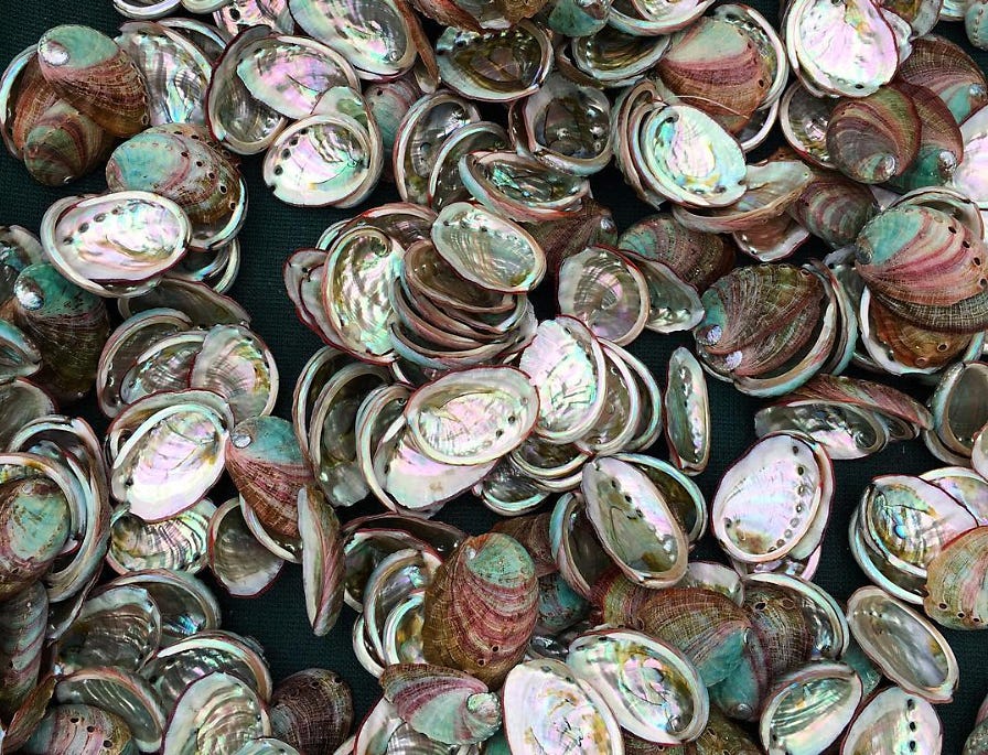 The Coastside’s best-kept secret is an abalone farm with a seafood ...