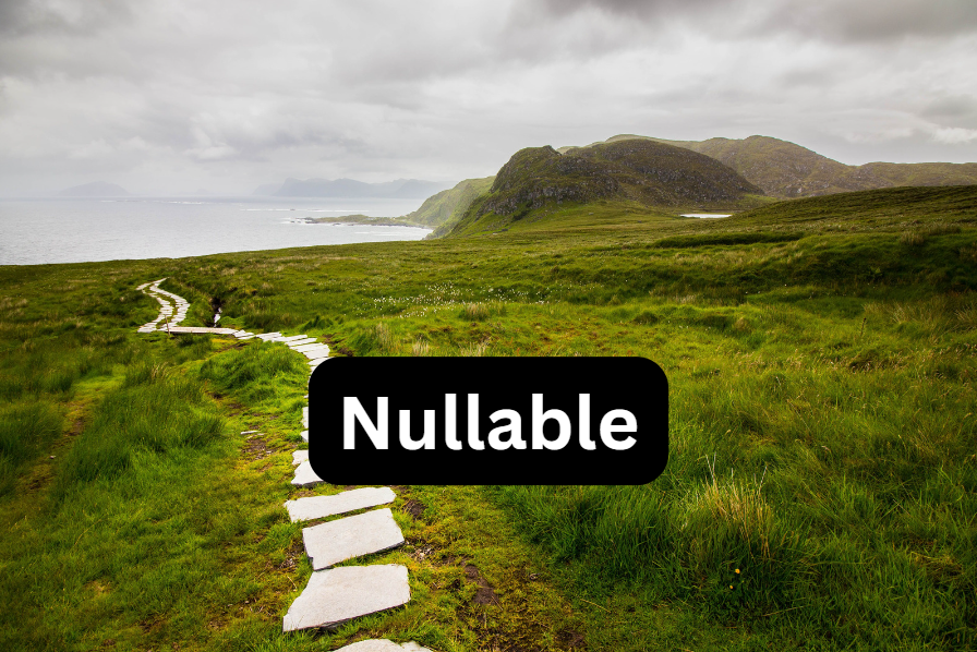 5 Examples You Must Read for Nullable Types in .NET | by Ivo Manolov | Level Up Coding