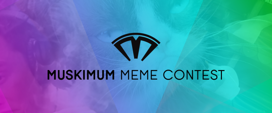 Rewards and memes. Good day everyone, first right off the… | by ...