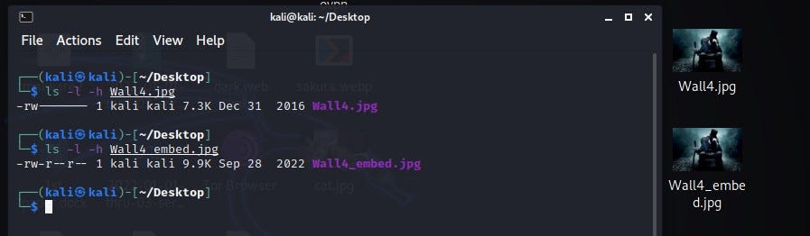 Explain Steganography | Medium