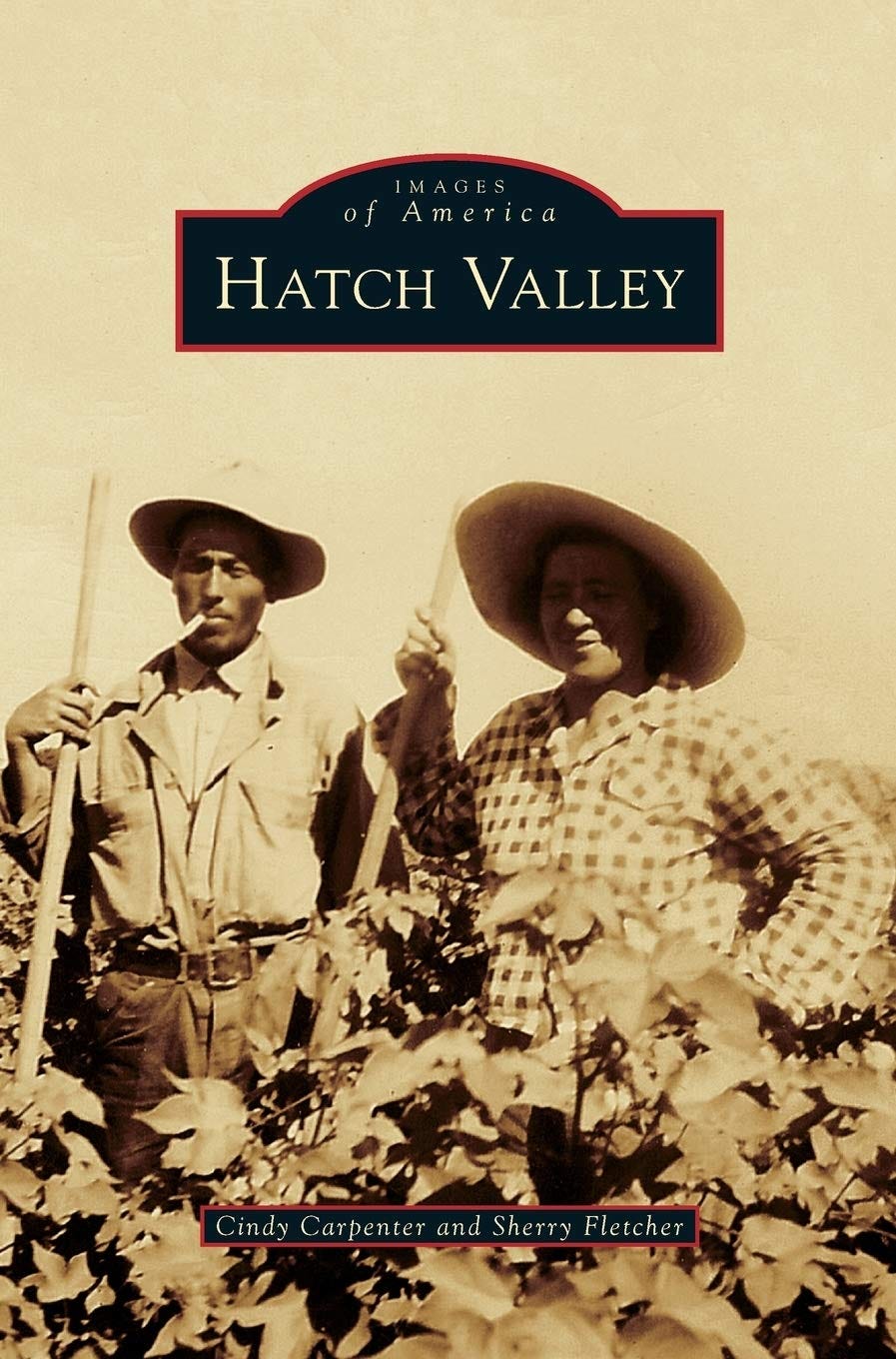[EBOOK] Hatch Valley. Backed Reasons to Read a (Real) Book… | by ...
