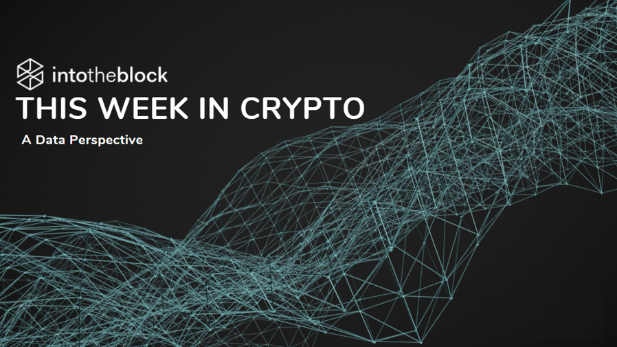3 Key Insights of the Crypto Bull Market | by Sentora | Sentora | Medium